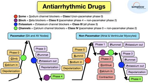 Antiarrhythmic Drugs List Of Medication Classes And Examples — Simplico