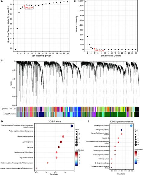 Identification Of Co Expression Module Genes Associated With Lif Using Download Scientific