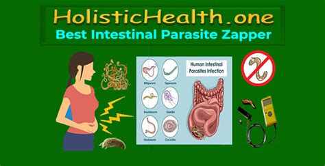 1 Parasite Zapper Zaps Harmful Microbes From Your Body