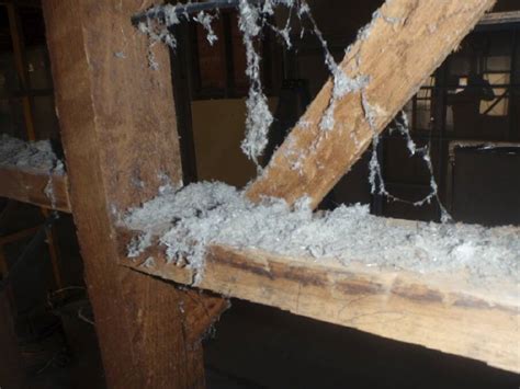Mr Fluffy Asbestos Infiltrates Like Sand Through The Hourglass The