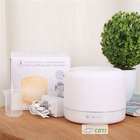 Novelty Product Ultrasonic Aromatherapy Diffuser With Bluetooth Speaker