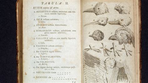 Gregory Radick On Linkedin The Rival Eighteenth Century Naturalists