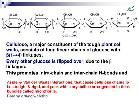 Includes Sugars And Their Polymers Ppt Download