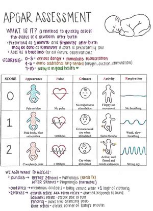 Maternity Final Exam 1 Notes Chapters 1 And 2 Maternity And Womens