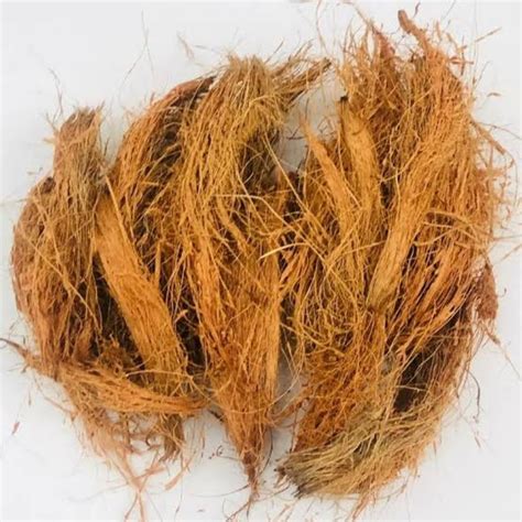 Coconut Husks Fiber Bunot Shopee Philippines