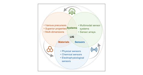 Toward Integrated Multifunctional Laser Induced Graphene Based Skin