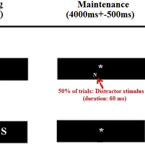 Schematic Drawing Of The Short Term Memory Task Design And Timing Download Scientific Diagram