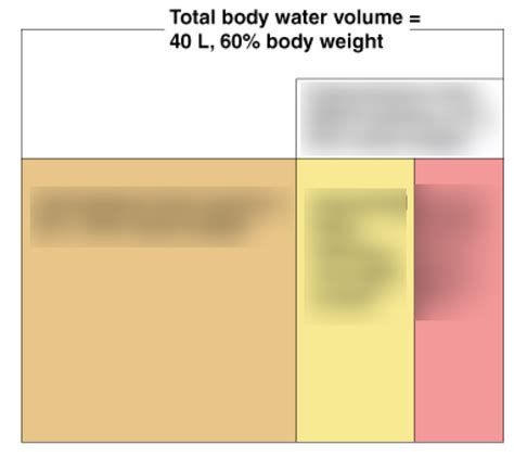 Bio 251 Body Fluid Distribution Diagram Quizlet