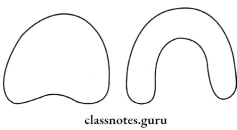 Impression And Mouth Preparation Class Notes