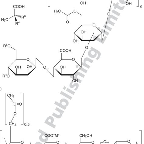 Pdf Production Of Microbial Polysaccharides For Use In Food