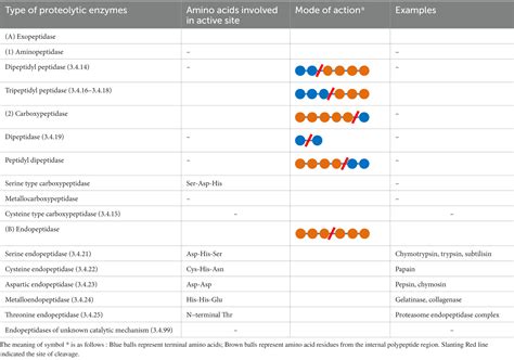 Proteolytic Enzymes Uses At Luca Glossop Blog