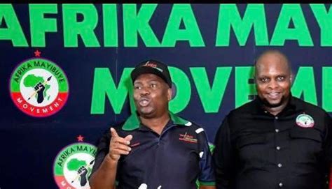 Robert Nwedo Resigns As Deputy President Of Afrika Mayibuye Movement