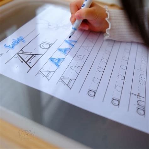 Trofast Insert Large Clear Insert For Flisat Sensory Table