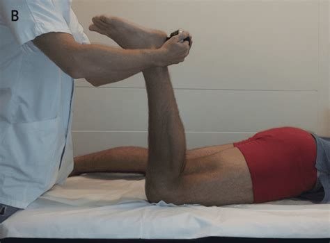 Hamstring Quadriceps Ratio At Clifford Rains Blog