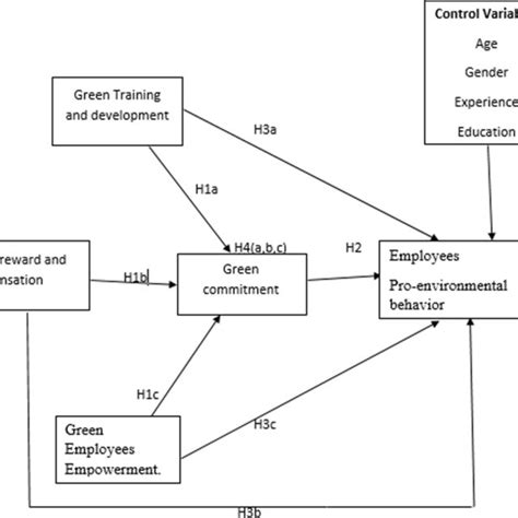 Amo Model Source Authors Constructed Download Scientific Diagram