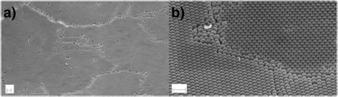 Top View Of Large Domains Of Polystyrene Nanosphere Layer Sem Pictures Download Scientific