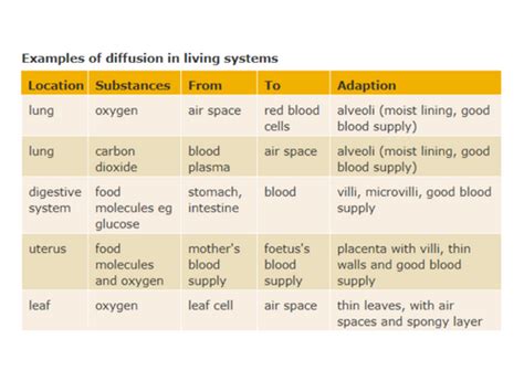 Diffusion Lesson Set Gcse Teaching Resources