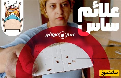 راهنمای ساخت اسپری مخصوص از بین بردن ساس نکات سمپاشی