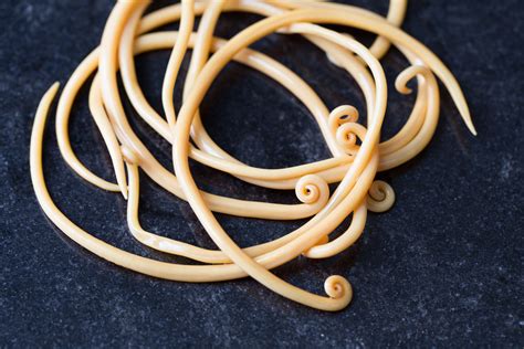 How To Manage Roundworms In Chickens Backyard Poultry