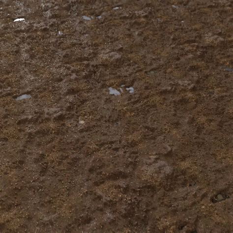 Rough Wet Mud Texture 5056 Lotpixel
