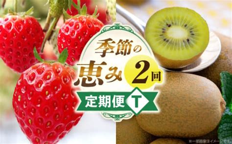 季節の恵み2回定期便t 果物 フルーツ 青果 青果物 デザート スイーツ 果実 旬 季節 旬の果物 季節の果物 生鮮食品 生鮮 贈答 贈り物 ギフト プレゼント おすそ分け お祝い 内祝い