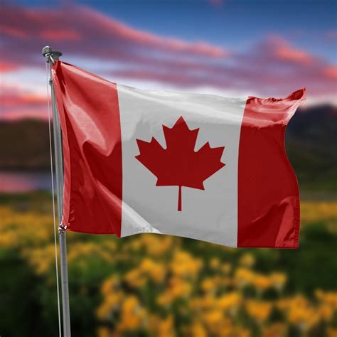 Bandera De Canada Con Envio Gratis A Partir De 50€ De Compra
