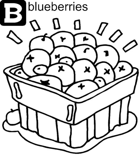 Blueberry Coloring Page Printable Sketch Coloring Page