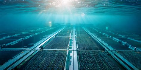 Subsea Data Centers Will The Future Of Cloud Computing Sink Or Swim
