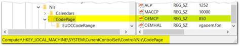 How To Display Foreign Characters In Excels Visual Basic Editor