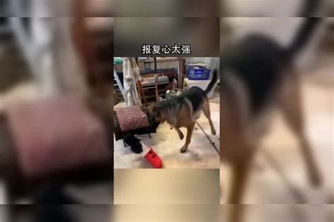 让你也感受一下被人嘲笑的心情 心情