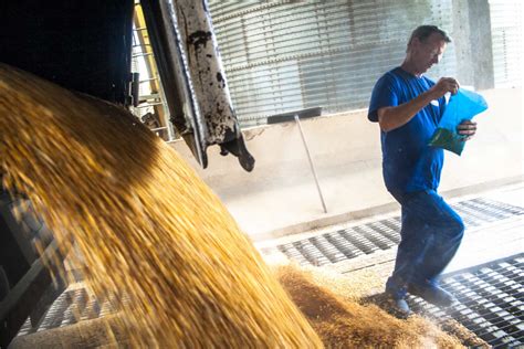 What Is Chronic Obstructive Pulmonary Disease