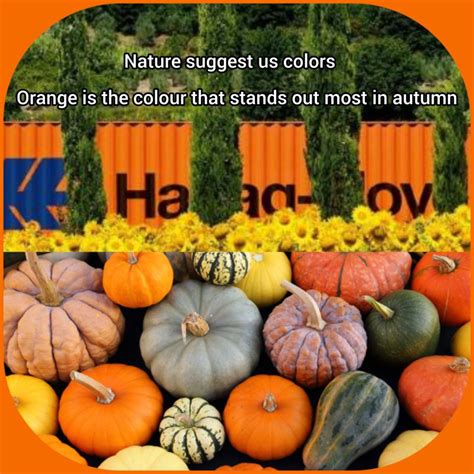 Rseinlandservices Hapaglloyd Inlandsolutions Cargotransport Francesca Pedemonte