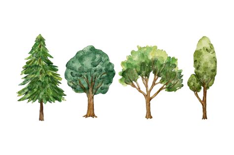Sketched Tree Vector Clipart