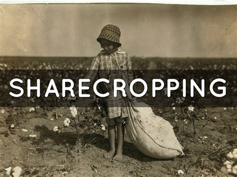 Sharecropping In Simple Terms Sharecropping Dynf