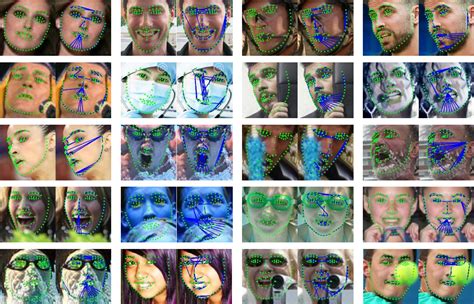 Figure 1 From Sparse Local Patch Transformer For Robust Face Alignment And Landmarks Inherent