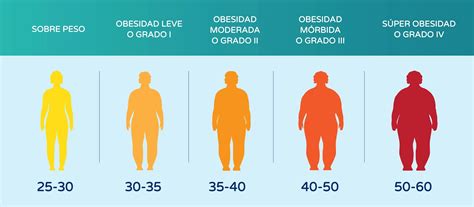 Calculadora Imc — Obesium