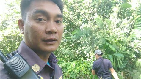 Foraging Rattan Shoots Ubod Ng Uway Sprakataktv9616 Japersniperofficial Mrs Japersniper7165