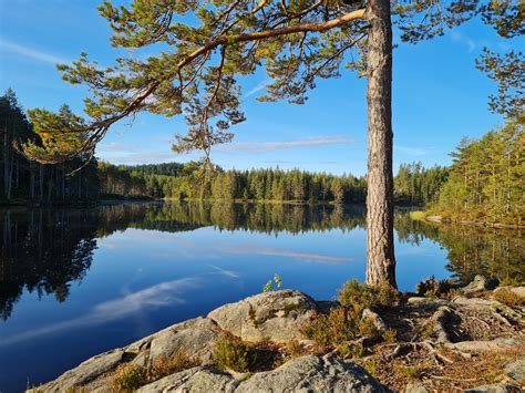 Visit Arvika Visit Arvika Added A New Photo
