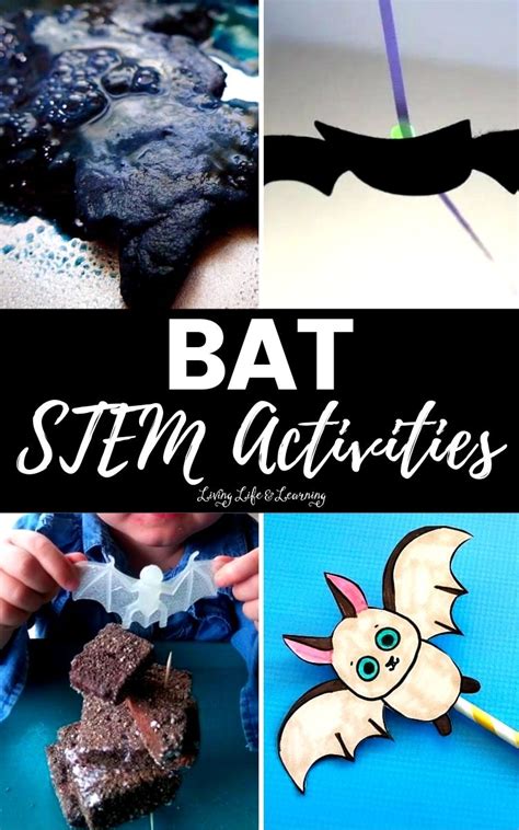 Bat Stem Activities Story