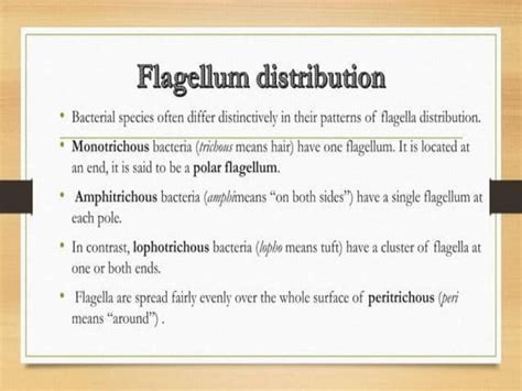 Bacterial Flagella Types Of Flagella Pptx
