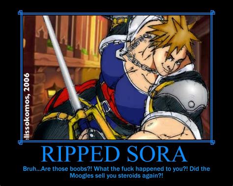 Ripped Sora Demotivational Poster By Ninjajaffacake On Deviantart