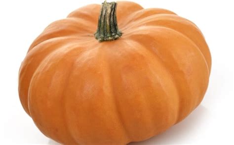 Bundeva Fini Recepti By Crochef