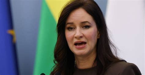 Lituania Va Doborî Baloanele Care I Au Invadat Cerul „sunt Provocări