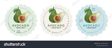 Avocado Packaging Design Templates Watercolour Style Stock Vector