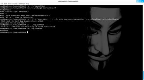 Shellshock Bash Bug Explained With Examples Information Security Isms