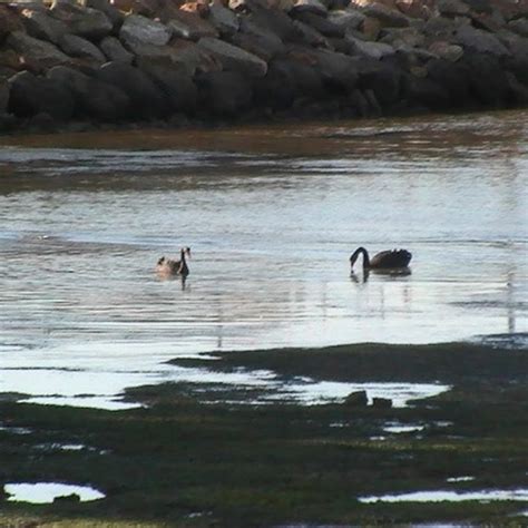 Stream Let Time Pass By Jack Blom Listen Online For Free On Soundcloud