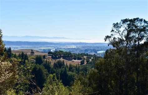 Returning To Gizdich Ranch Apple Picking In An Orchard Of Memories