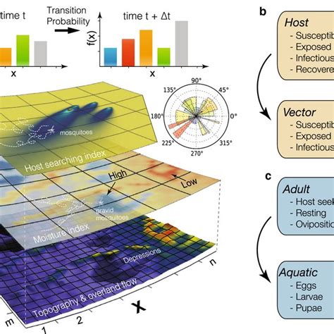 Schematic Of The Slim Model That Couples A Vector Dispersal Model With Download Scientific
