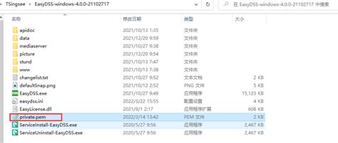 Easydss临时授权报错“上传文件无效”是什么原因？easydss授权异常 Csdn博客