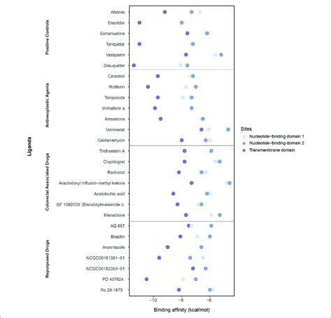 Binding Affinities Of Ligands The Positive Controls Antineoplastic